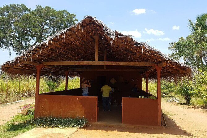 Kandy - Sigiriya Full-Day Private Tour - Sigiriya Rock Fortress: The Main Attraction