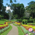 Kandy: Temples, Gardens & Cultural Show City Highlights Tour - Final Thoughts