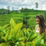 Kandy to Nuwara Eliya Day Tour - What Makes This Tour Stand Out