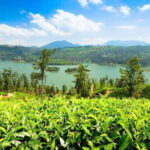 Kandy To Nuwara Eliya Drop Tour - Sri Lanka - Authentic Experiences and What Travelers Say