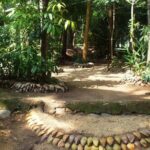 Kandy Transfer Visiting Dambulla Cave Temple and Herbal Garden - The Experience from Reviews