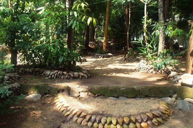 Kandy Transfer Visiting Dambulla Cave Temple and Herbal Garden - The Experience from Reviews