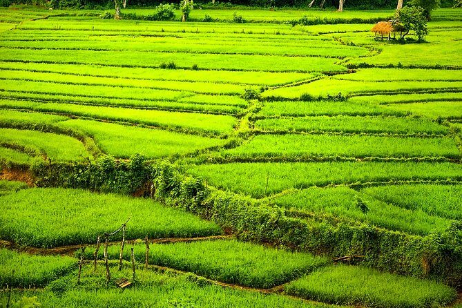 Kandy Village Walk with a Local - The Itinerary Breakdown: What to Expect