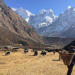 Kangchenjunga Circuit South and North Base Camp Trek - What Travelers Say