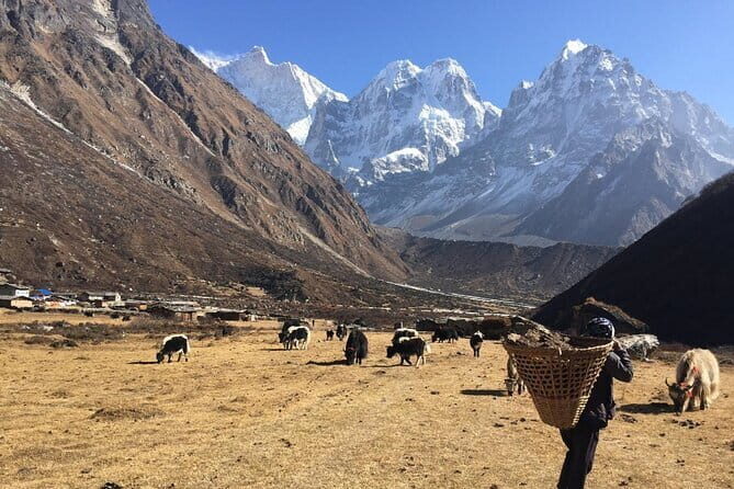Kangchenjunga Circuit South and North Base Camp Trek - What Travelers Say