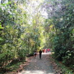 Kanneliya Rain Forest Tour - A Closer Look at the Itinerary: What to Expect