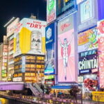 Kansai Airport (KIX) Transfer to Osaka/Kobe/Kyoto/Nara/Wakayama - Authentic Insights from Travelers