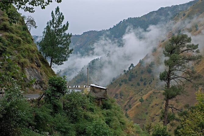 Kasauli Honeymoon Package - Transportation and Logistics: Why It Matters