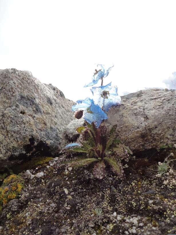 Kathmandu : 14 -Day Everest Base Camp with Kala Patthar Trek - What Makes This Trek Stand Out?