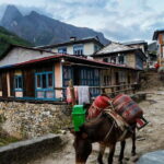 Kathmandu: 15-Day Everest Base Camp Trek with Guide - What Makes This Trek Stand Out