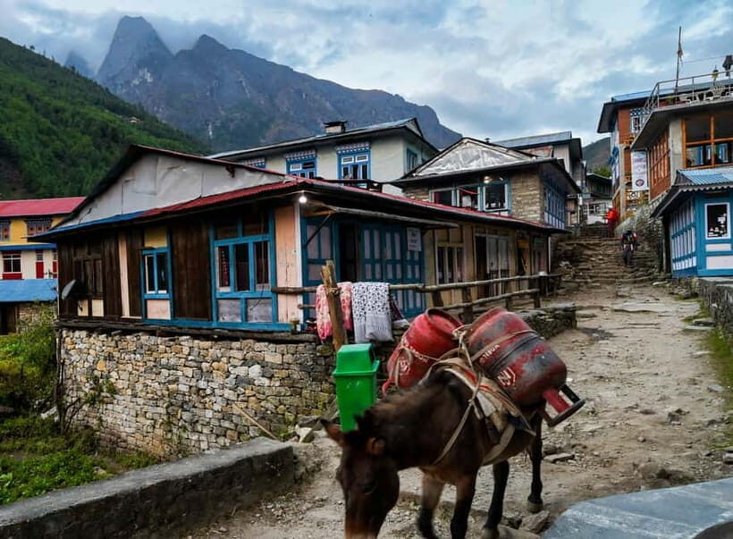 Kathmandu: 15-Day Everest Base Camp Trek with Guide - What Makes This Trek Stand Out