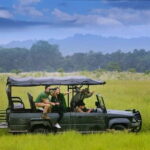 Kathmandu: 3-Day Chitwan Safari Tour with Hotel Transfers - The Sum Up: Who Should Consider This Tour?
