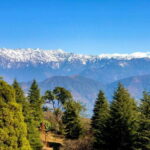 Kathmandu: 8-Day Langtang Valley Trek w/Kyanjin Ri Viewpoint - A Day-by-Day Breakdown of the Trek