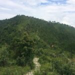 Kathmandu: Champadevi Hiking Day Tour - What’s the Value for Travelers?