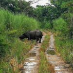 Kathmandu Chitwan Pokhara Tour - Practical Details