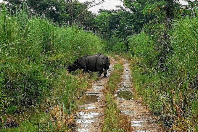 Kathmandu Chitwan Pokhara Tour - Practical Details