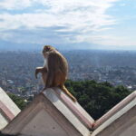 Kathmandu: Inner City Tour with 3 UNESCO World Heritage - What You Can Expect from This Tour