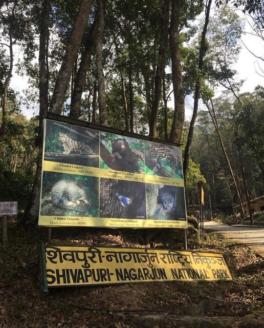 Kathmandu: Jamacho( Nagarjung Danda) Day Hike - Itinerary Breakdown