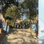 Kathmandu: Monkey Temple Guided Monkey Watching Tour - Why this Tour Is a Win for Travelers