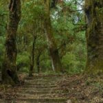 Kathmandu Shivapuri National Park and Nagarkot Hiking - 3 Days - Day 3: Nagarkot, Changu Narayan, and Return