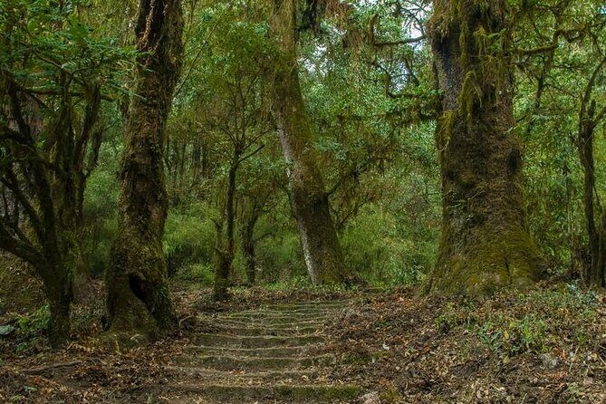 Kathmandu Shivapuri National Park and Nagarkot Hiking - 3 Days - Day 3: Nagarkot, Changu Narayan, and Return
