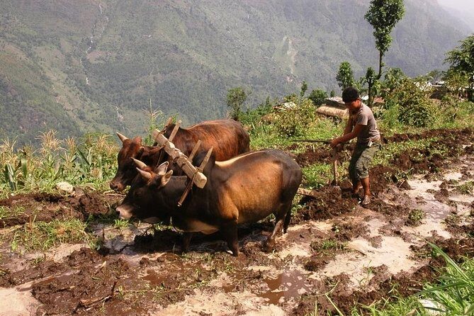 Kathmandu Tour - 2 Full day Cultural exploration - Introduction: What You’ll Get from This Tour
