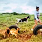 Kauai Private Baby Farm Animal Experience & Micro Dairy Immersion - FAQ