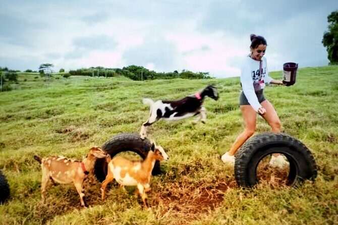 Kauai Private Baby Farm Animal Experience & Micro Dairy Immersion - FAQ