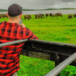 Kaudulla National Park Half Day Sri Lanka Jeep Safari - Why You’ll Love the Experience