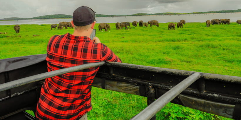 Kaudulla National Park Half Day Sri Lanka Jeep Safari - Why You’ll Love the Experience