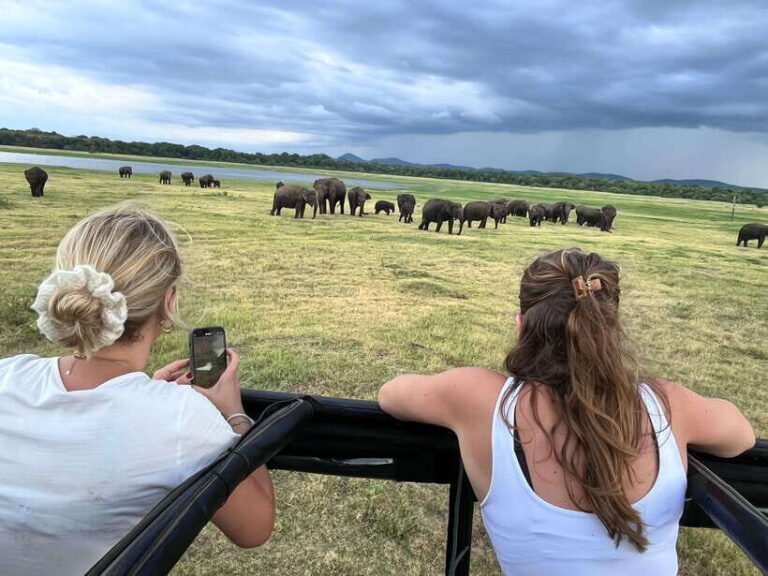 Kaudulla National Park: Private Safari - The Itinerary Breakdown