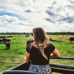 Kaudulla National Park Private Safari from Habarana - What Travelers Say