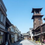 Kawagoe Sightseeing and Experience Tour to Harvest Local Foods - Who Should Consider This Tour?