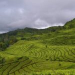 Kawah Putih Private Tour - What Does the Tour Include and Exclude?