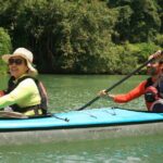 Kayak Mangroves or Coral Reef: private tour in north Okinawa - Why This Tour Shines