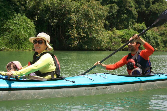 Kayak Mangroves or Coral Reef: private tour in north Okinawa - Why This Tour Shines