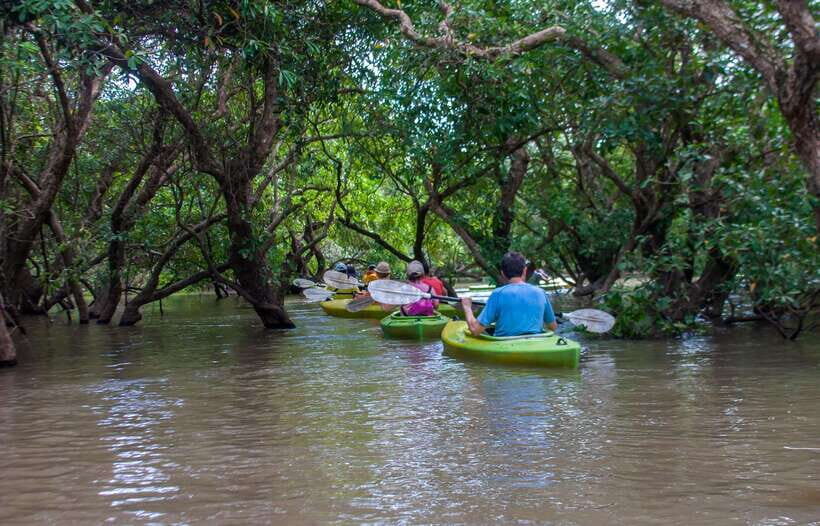 Kayaking & Floating Village in Siem Reap - In-Depth Breakdown of the Itinerary