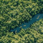 Kayaking from Bentota - Why This Tour Is Worth Considering