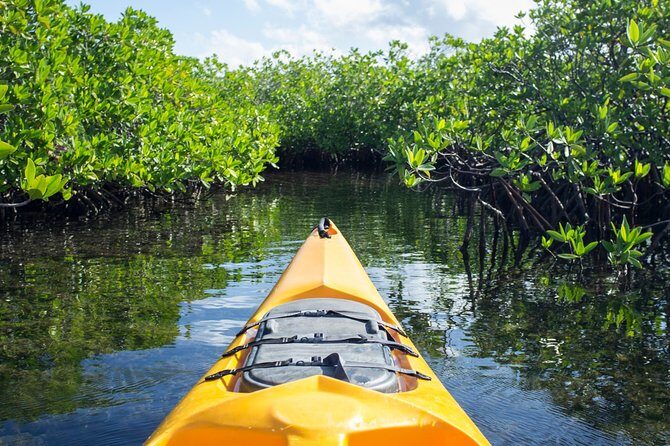 Kayaking in Habarana - A Closer Look at Kayaking in Habarana