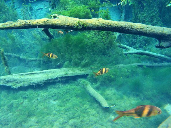 Kayaking in Hidden Freshwater Lagoon, Unseen Krabi Trip - The Sum Up