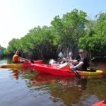 Kayaking Through the Kalpitiya Mangroves - Practical Tips for Your Trip