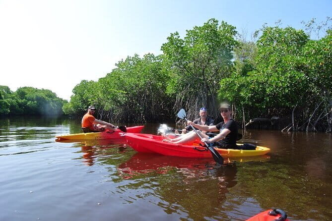 Kayaking Through the Kalpitiya Mangroves - Practical Tips for Your Trip