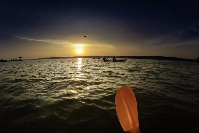 Kayaking to the Black Devil Snail Sandbar Island in Paravur Lake near Varkala - An In-Depth Look at the Kayaking to Black Devil Snail Sandbar Experience