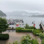 Kayaking Vancouver Tour - The Itinerary: What to Expect