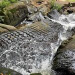 Kbal Spean Lingar River, Banteay Srei Temple & Pre Rup Tour - Logistics and Practical Insights