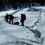 Kedarkantha Trek - What Makes the Kedarkantha Trek Stand Out