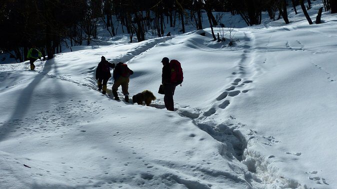 Kedarkantha Trek - What Makes the Kedarkantha Trek Stand Out