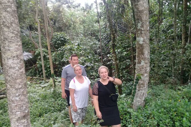 Keliki Village Tour And Rice Field Walk Including Lunch Or Dinner - A Detailed Look at the Keliki Village Tour