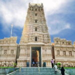 'Kelip Kelip' Fireflies Tour include Seafood Dinner & Boat Ride - What the Reviews Say