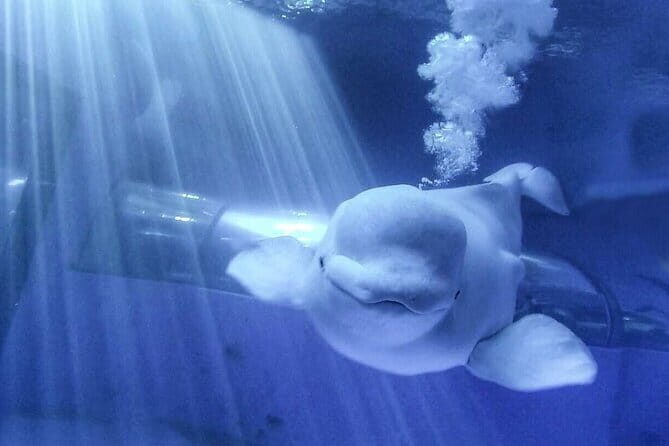 Kenting Aquarium Admission Ticket in Taiwan - Who Would Love This Experience?